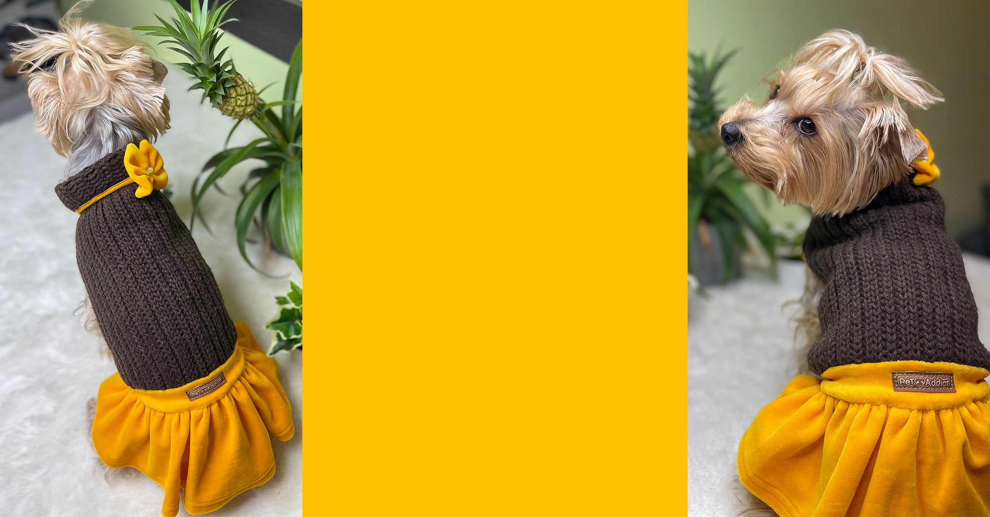 Pet Addict Store - Дрехи и аксесоари за домашни любимци – PetAddictStore